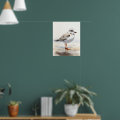 Piping Plover Bird Art Print Poster | Zazzle