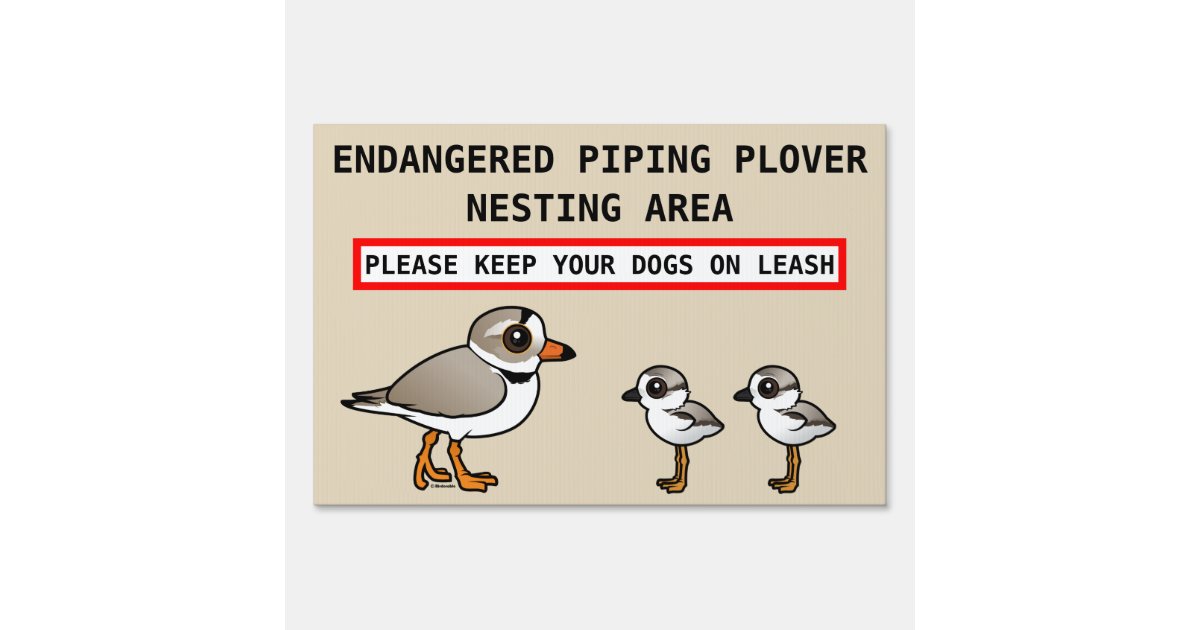 Piping Plover Nesting Sign | Zazzle