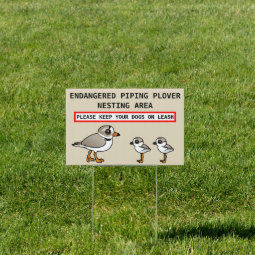 Piping Plover Nesting Sign | Zazzle