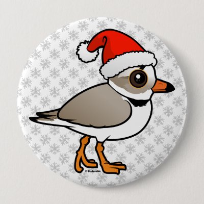 Piping Plover Coloring Page by Birdorable