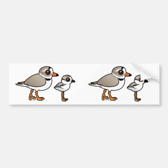 Piping Plover with chick Bumper Sticker | Zazzle.com