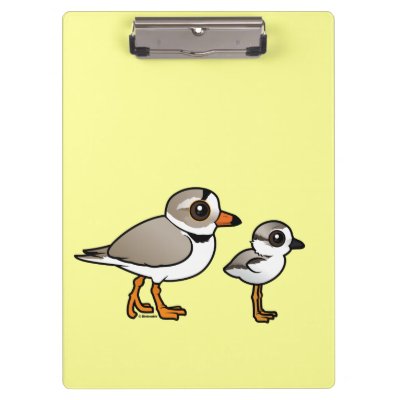 Piping Plover Coloring Page by Birdorable