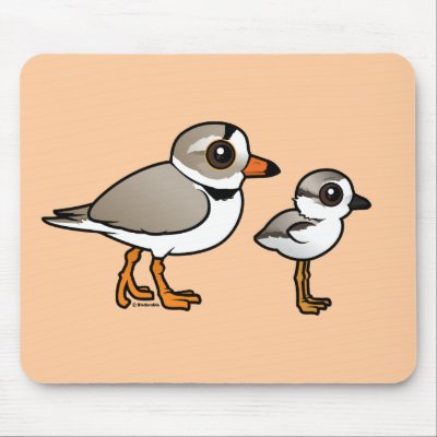 Cute Piping Plover by Birdorable