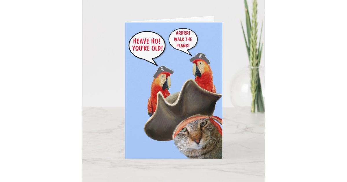 Pirate Cat And Rude Parrots Funny Birthday Card | Zazzle