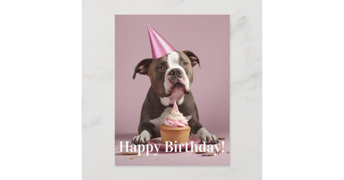 Pit Bull Birthday Celebration Postcard | Zazzle