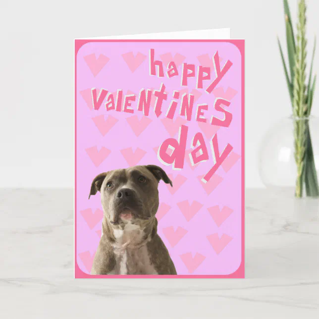 Pit Bull Dog Happy Valentine's Day Greeting Card | Zazzle