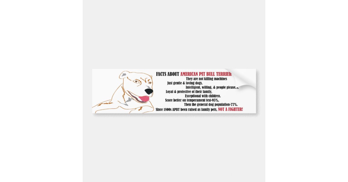 Pit Bull Facts Bumper Sticker | Zazzle