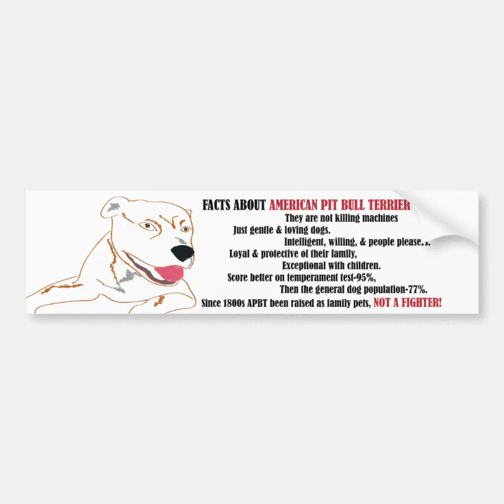 Pit Bull Facts Bumper Sticker | Zazzle