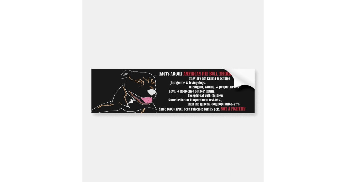Pit Bull FactsBlk Bumper Sticker | Zazzle