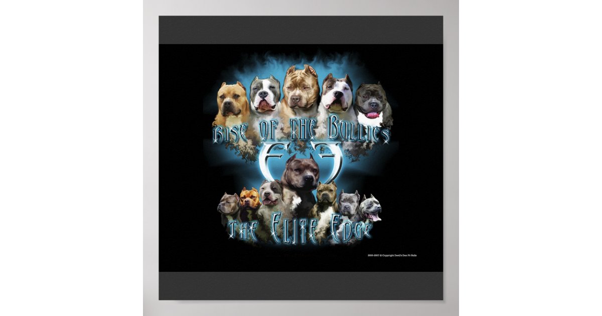 Pit Bull poster | Zazzle