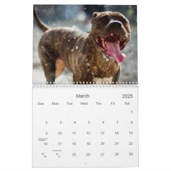 Pit Bull Proud Calendar | Zazzle