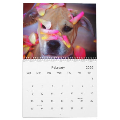 Pit Bull Proud Calendar | Zazzle