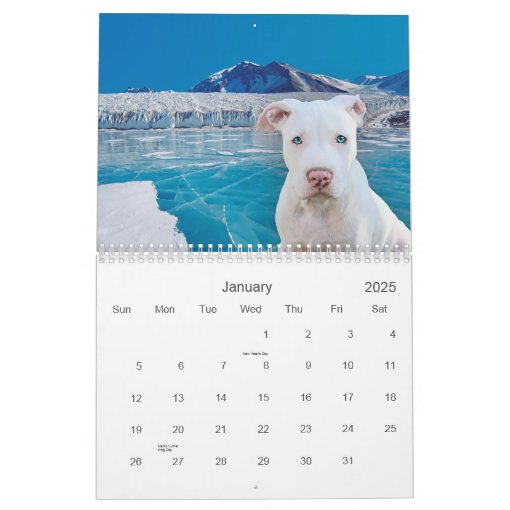 Pit Bull Proud Calendar | Zazzle