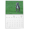 Pit Bull Proud Calendar | Zazzle