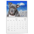 Pit Bull Proud Calendar | Zazzle