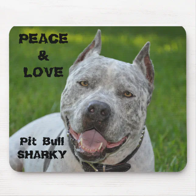 pit bull sharky mousepad dog pitbull smile | Zazzle