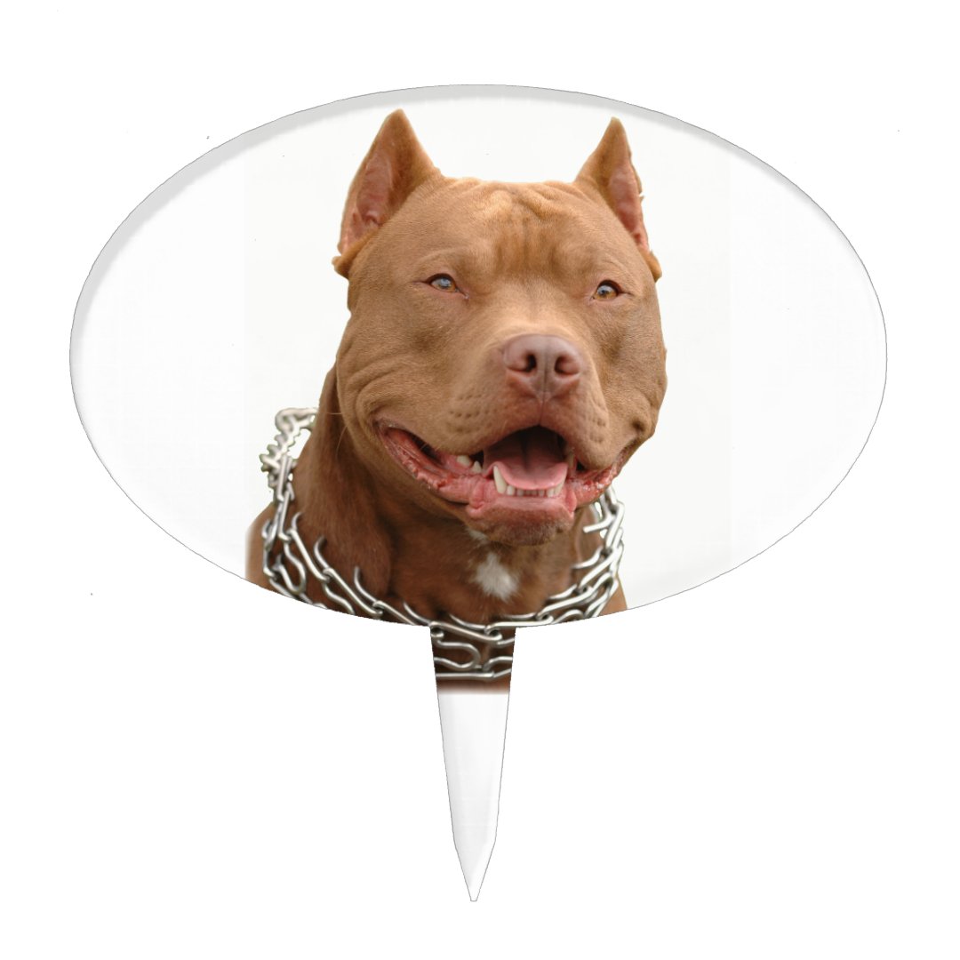 Pitbull dog cake topper | Zazzle