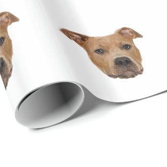 Pitbull Dog Face Pet Wrapping Paper | Zazzle