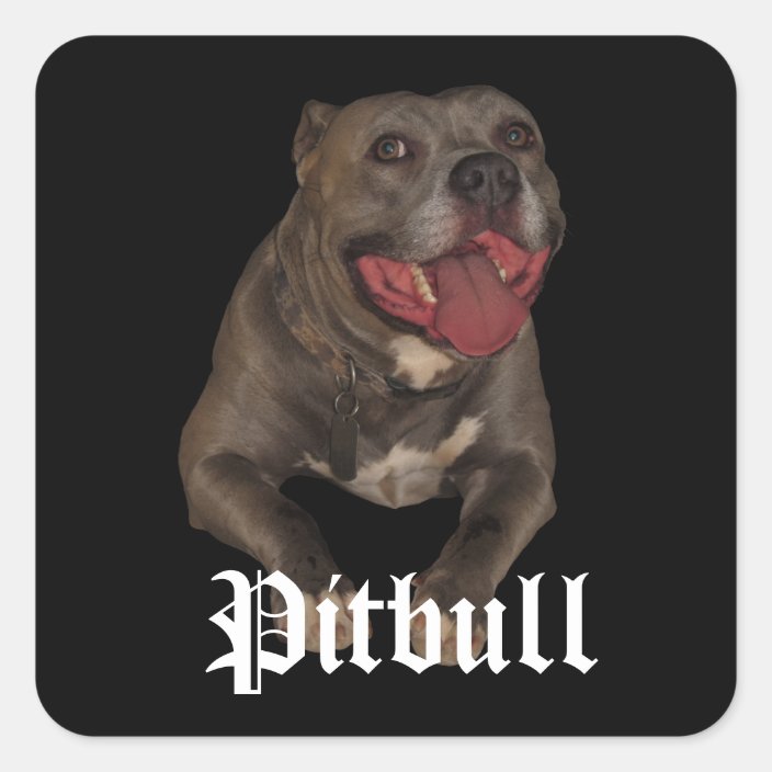 Pitbull Dog Stickers | Zazzle.com