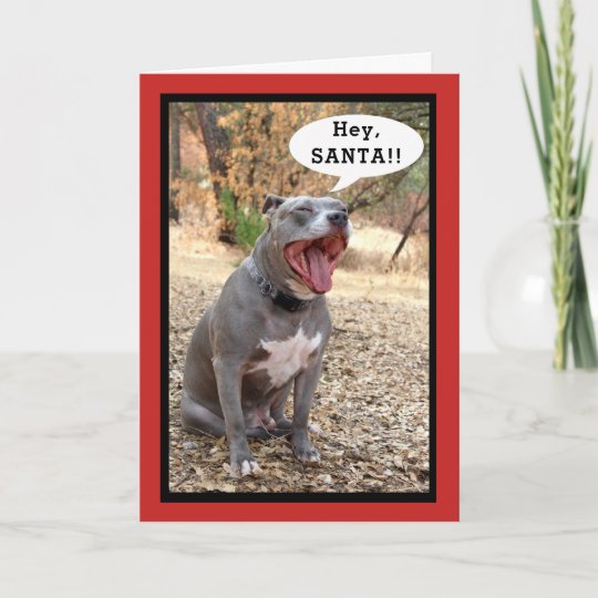 Pitbull Hey Santa Christmas Card | Zazzle.com