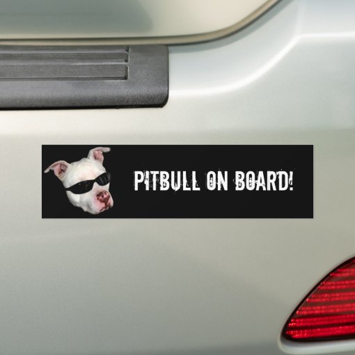 Pitbull on board bumper sticker | Zazzle