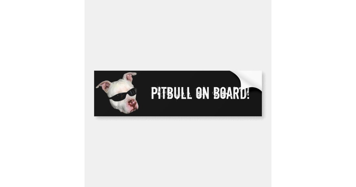 Pitbull on board bumper sticker | Zazzle
