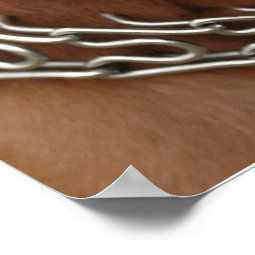 Pitbull Poster | Zazzle