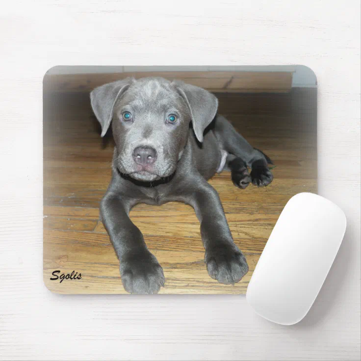 Pitbull Puppy / Cute Dog Mouse Pad | Zazzle