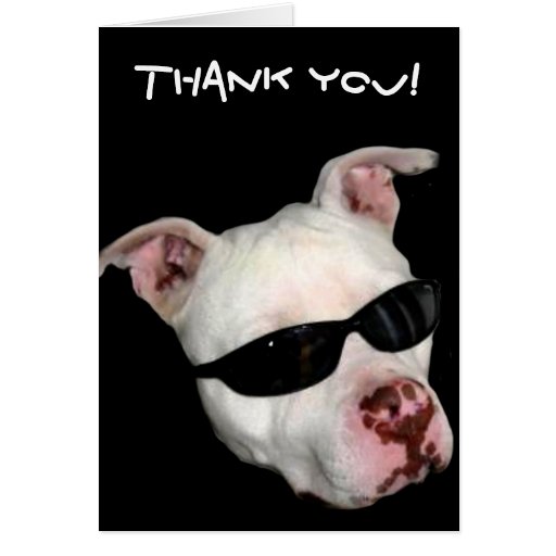 Pitbull thank you greeting card | Zazzle