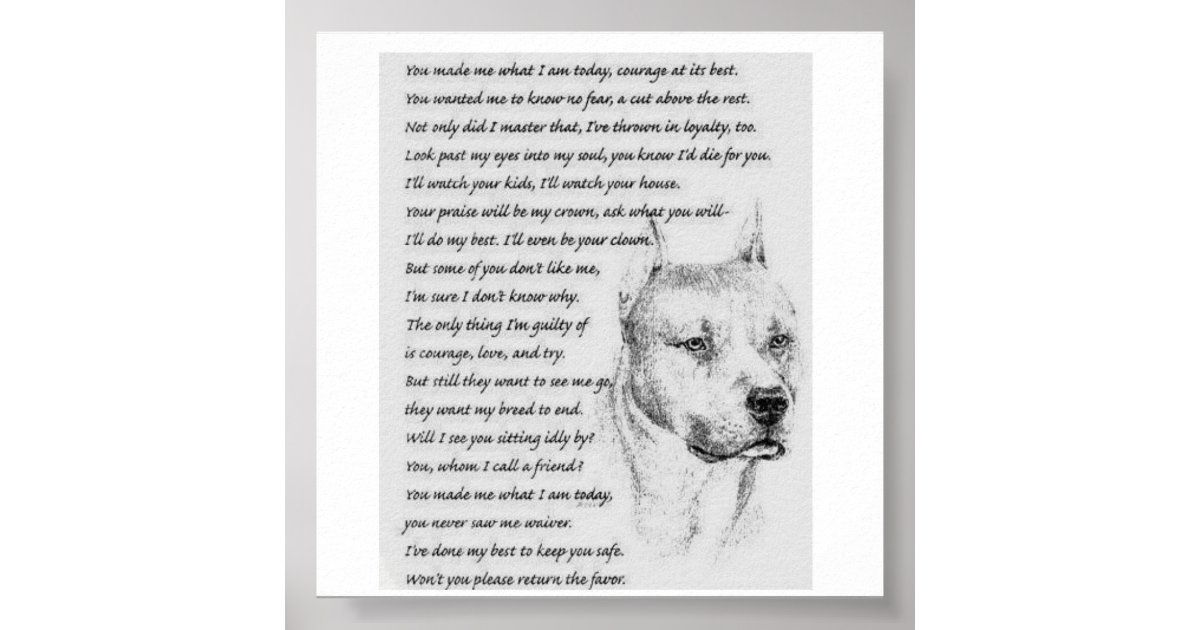 pitch poster | Zazzle