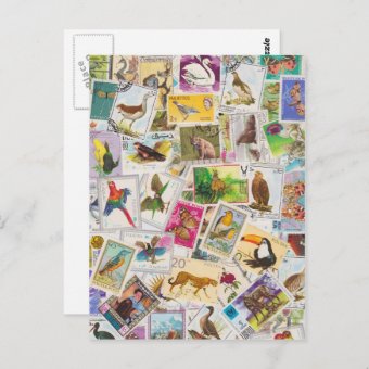 Place Stamp Here Postcard | Zazzle