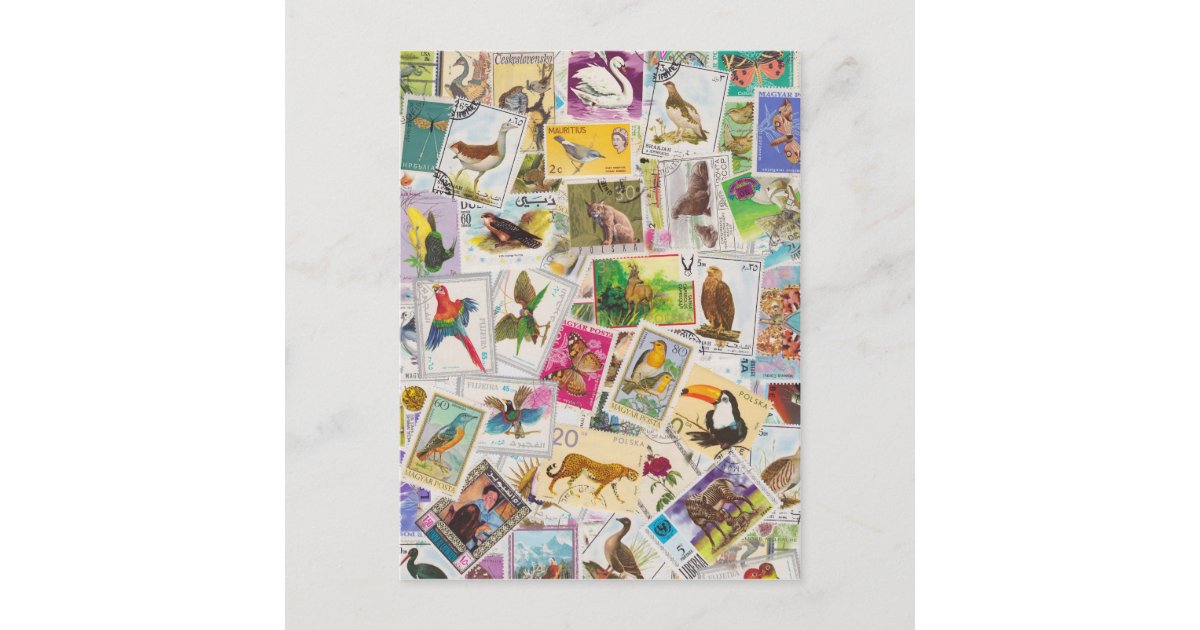 Place Stamp Here Postcard | Zazzle