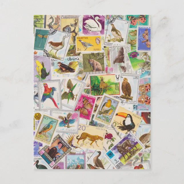 Place Stamp Here Postcard | Zazzle