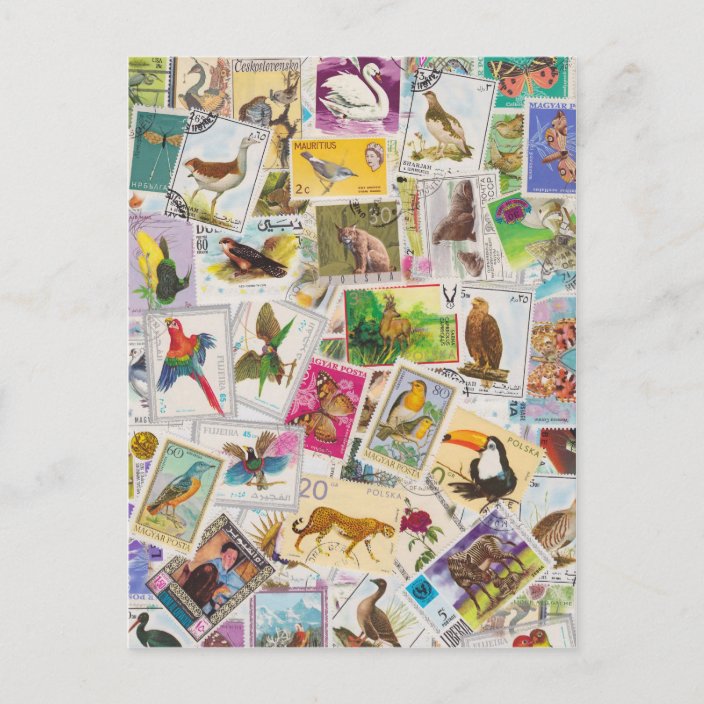 Place Stamp Here Postcard | Zazzle.com