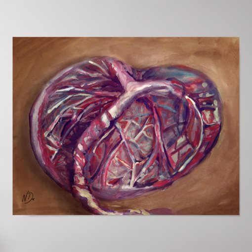 Placenta art poster - midwife office, doulas | Zazzle