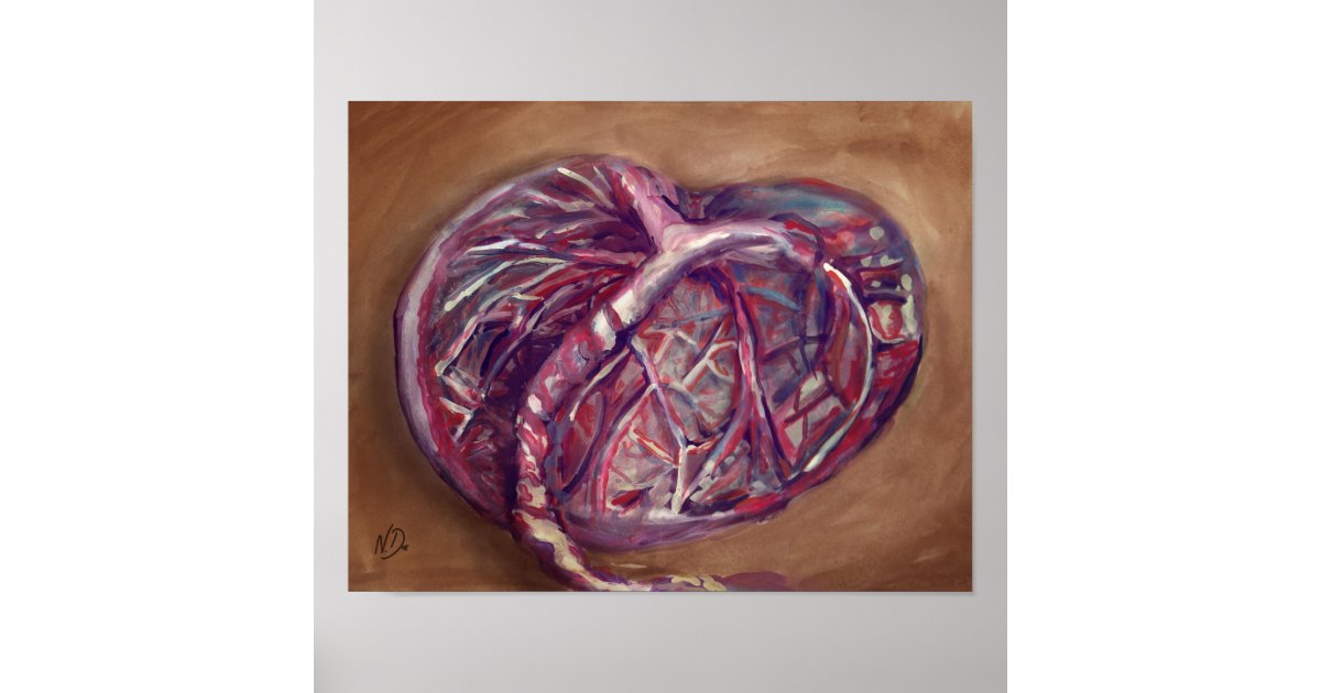 Placenta art poster - midwife office, doulas | Zazzle