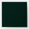 Plaid Rustic Green Clan Gordon Tartan Envelope | Zazzle