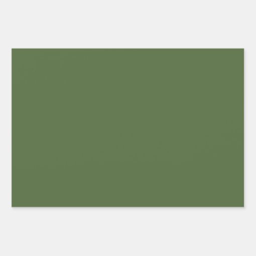 Plain Green Wrapping Paper Sheets | Zazzle