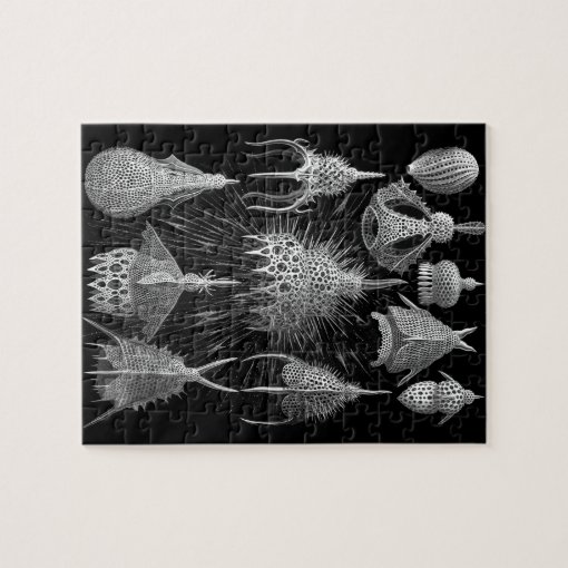 Plankton Shells in Black and White (Cyrtoidea) Jigsaw Puzzle | Zazzle