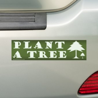 Plant A Tree Bumper Sticker | Zazzle