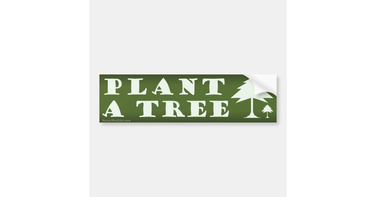 Plant A Tree Bumper Sticker | Zazzle