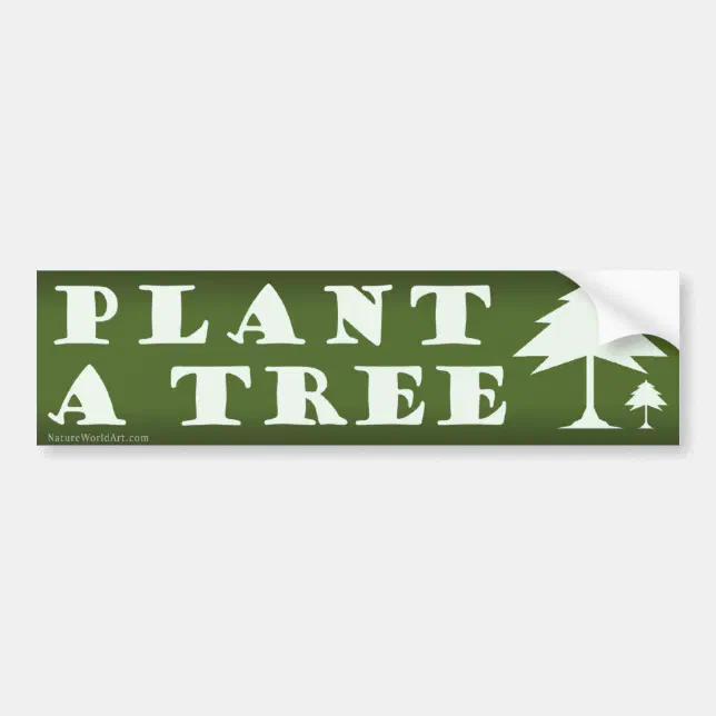 Plant A Tree Bumper Sticker | Zazzle