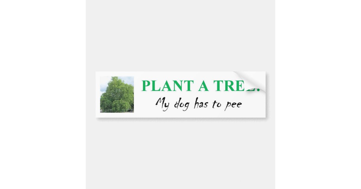 PLANT A TREE BUMPER STICKER | Zazzle