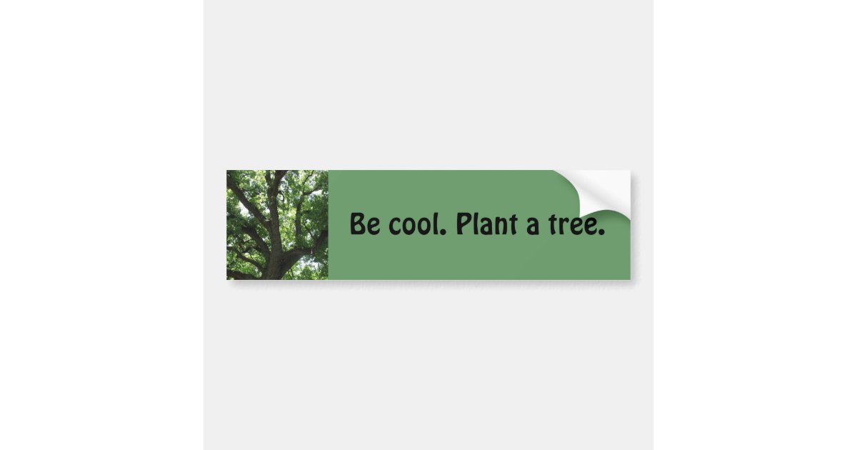 "Plant A Tree" Bumper Sticker | Zazzle
