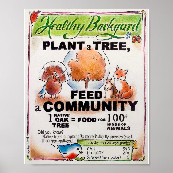 Plant a Tree Educational Poster | Zazzle