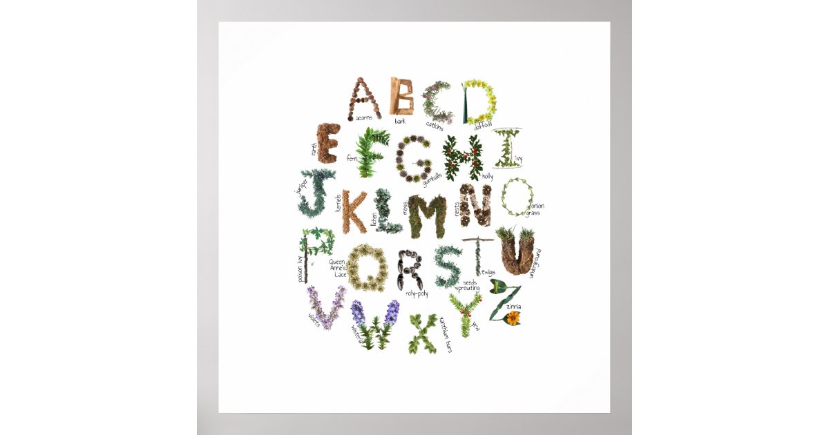 Plant Alphabet Nature Nursery Botanical ABC Poster | Zazzle