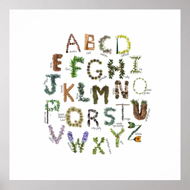 Plant Alphabet Nature Nursery Botanical ABC Poster | Zazzle
