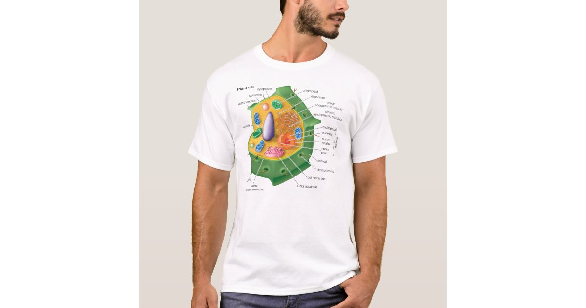 Plant Cell GET EDUCATED T-Shirt | Zazzle