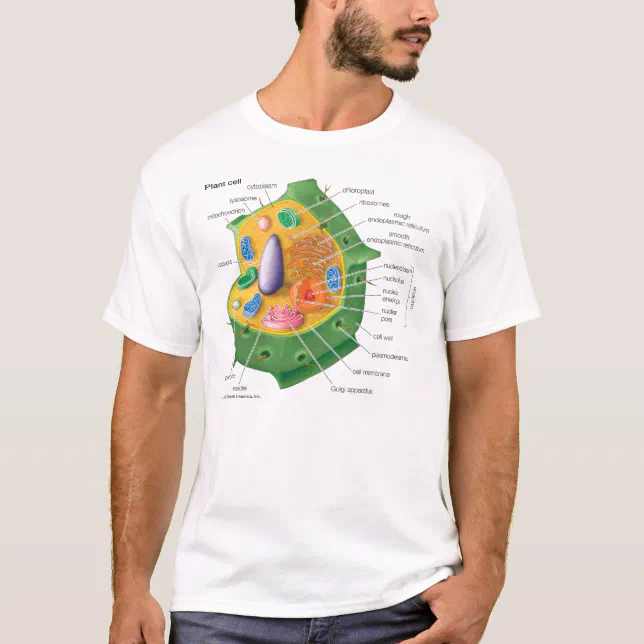 Plant Cell GET EDUCATED T-Shirt | Zazzle