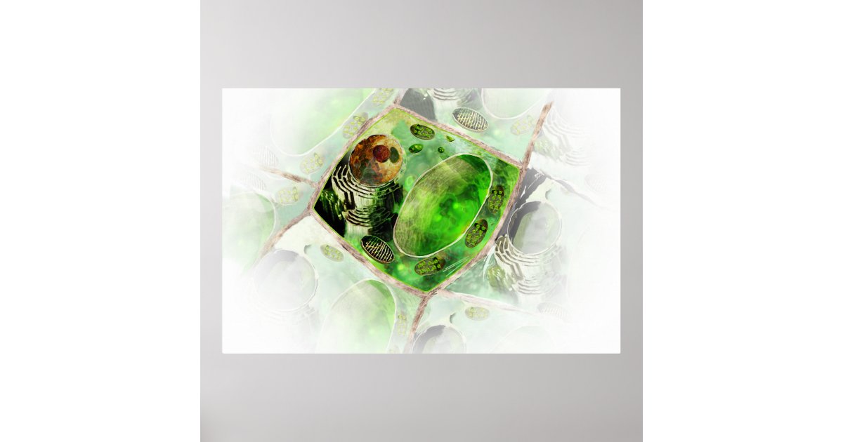 Plant Cell poster | Zazzle